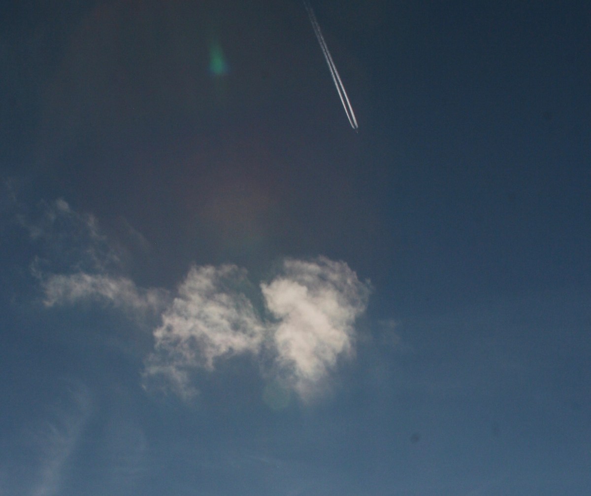 About – Mark Burley